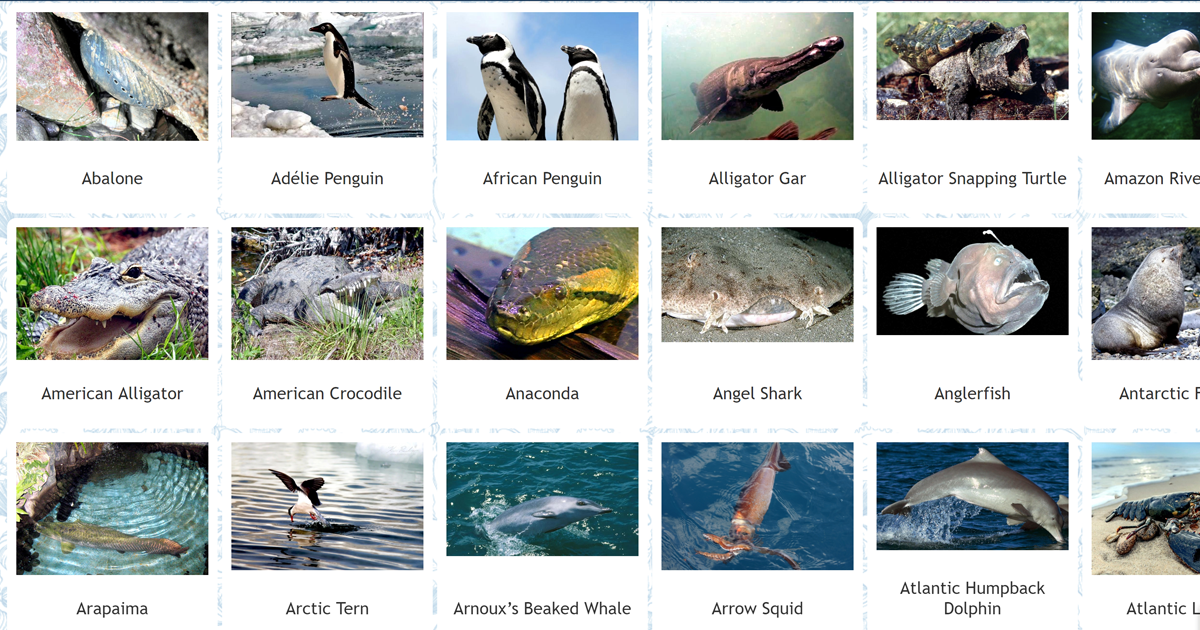 All Species Pages – "OCEAN TREASURES" Memorial Library